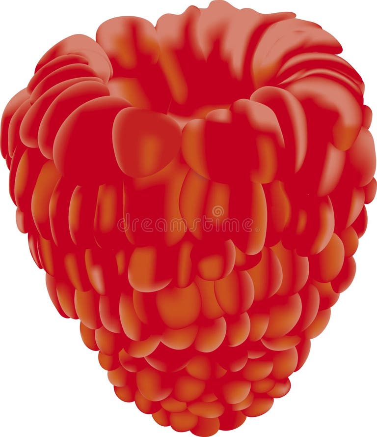 Red Raspberry Juice Stock Illustrations – 11,632 Red Raspberry Juice ...