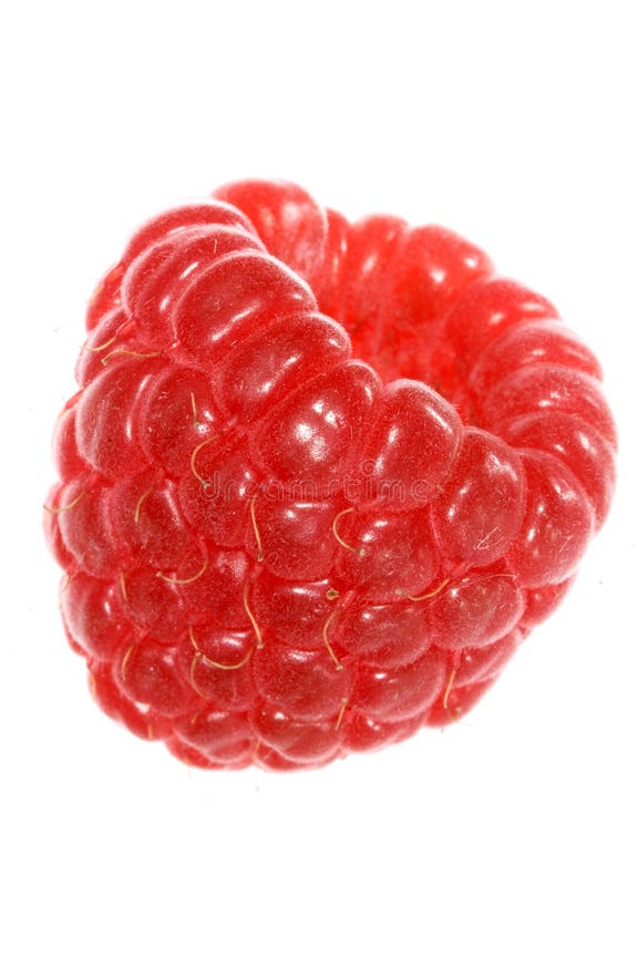 Red raspberry stock image. Image of white, raspberry, raspberries - 1860971
