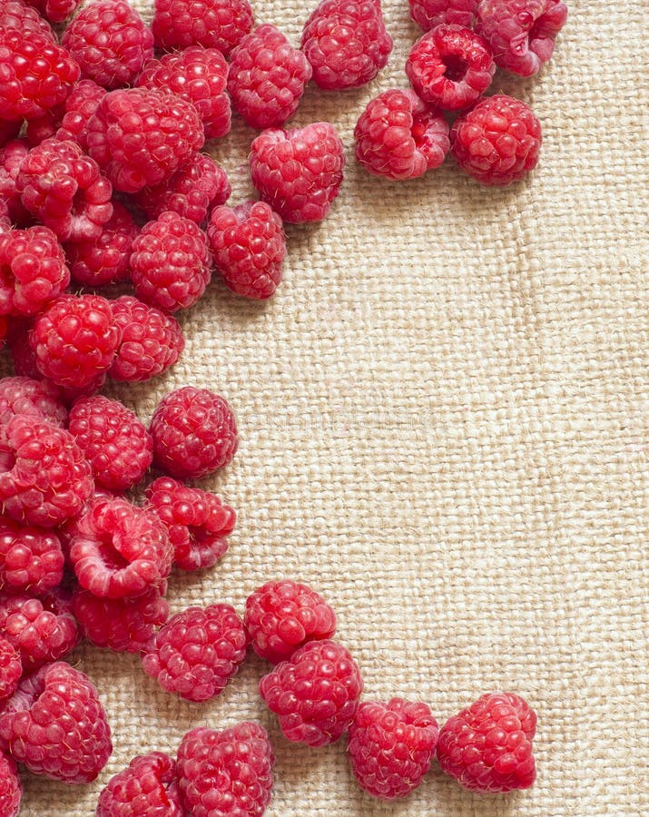 Red raspberry stock image. Image of dieting, farming - 25630751