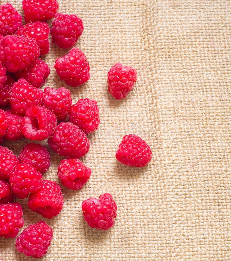 Red raspberry stock image. Image of fruity, luscious - 25970713