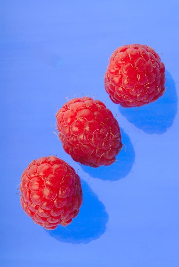 Red raspberry stock image. Image of sweet, white, raspberries - 3100695