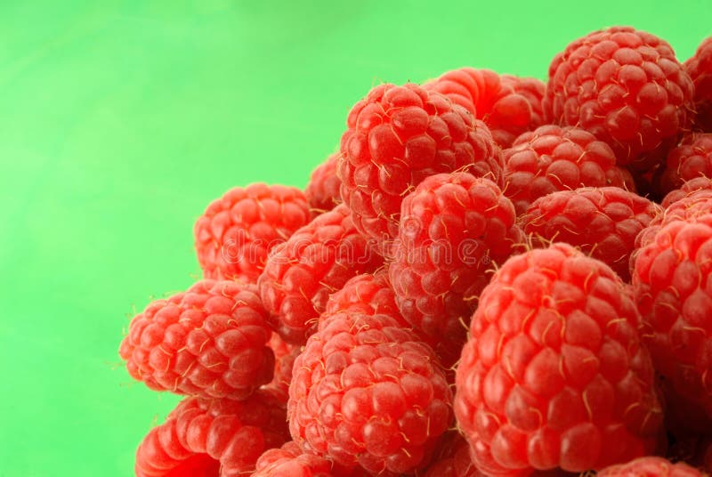 Red Raspberry Picture. Image: 3100715