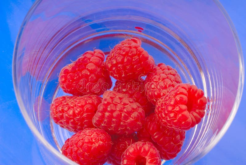 Red Raspberry Picture. Image: 3100727