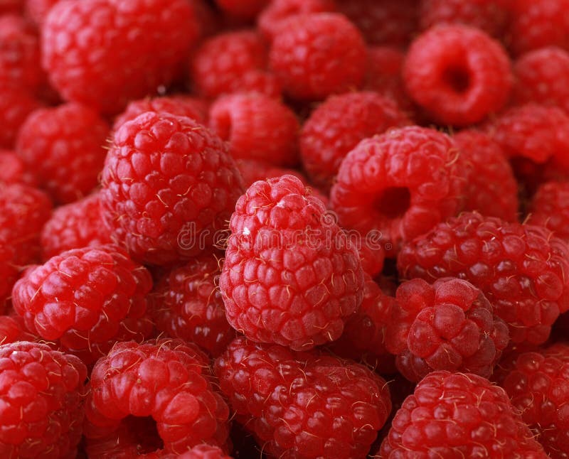 Red Raspberry Background Close Up Stock Image - Image of class, healthy ...