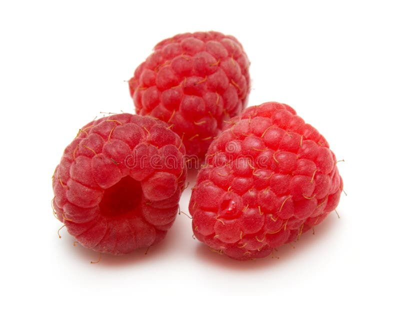 Raspberry Berry in the Garden Stock Photo - Image of packing, creation ...