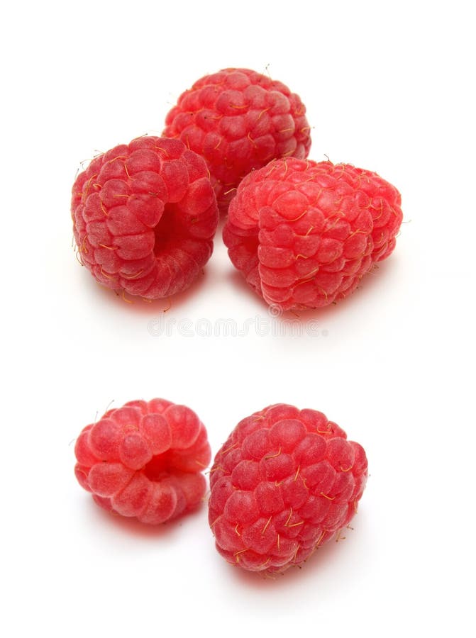 Raspberry Berry in the Garden Stock Image - Image of berries, garden ...