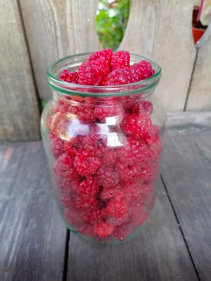 Red Raspberry Berry is in a Jar Stock Photo - Image of food, citrus ...