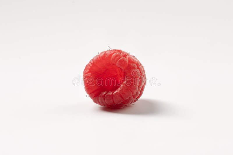 Red Raspberry on Black Background Stock Image - Image of organic ...