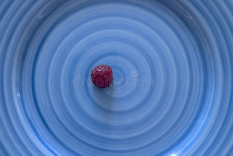 Red raspberry blue plate stock image. Image of single, food - 208745