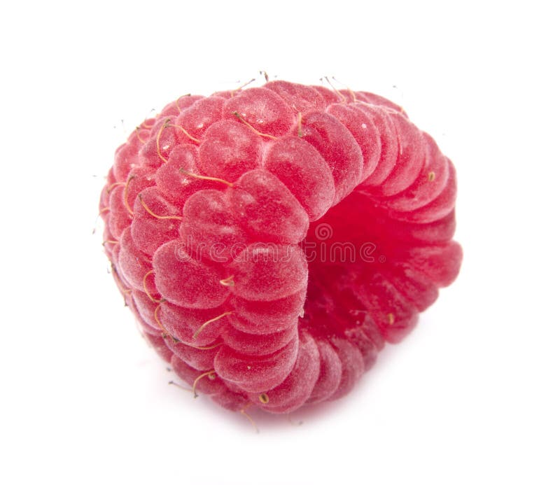 Virus, Bacteria, Microbe. Medical Anatomy Concept , Isolate Stock Image ...