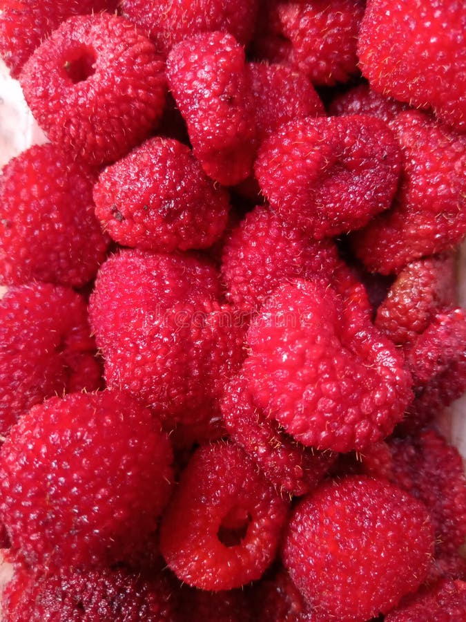 Red Raspberry Close-up Picture Stock Image - Image of petal, flower ...