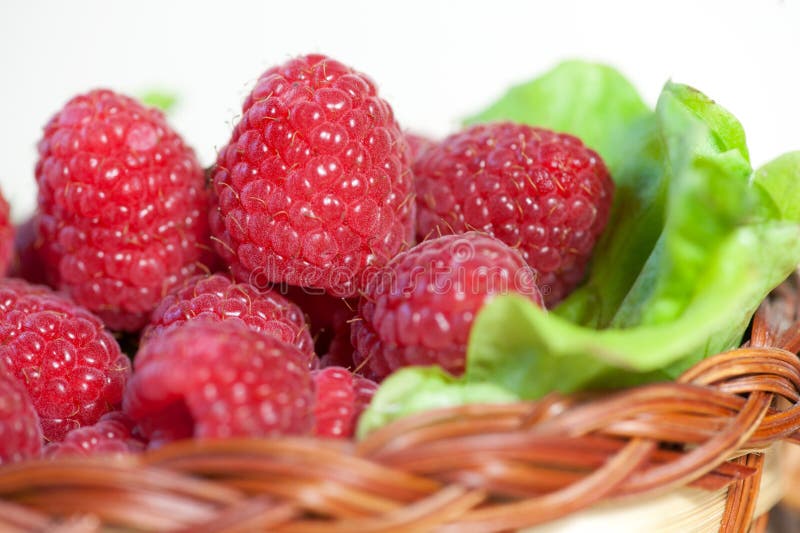 Red raspberry stock image. Image of green, fruits, macro - 41969543