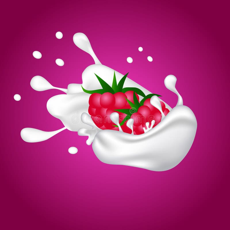 Red Raspberry Fruits Falling into the Milk Splash. Stock Vector ...
