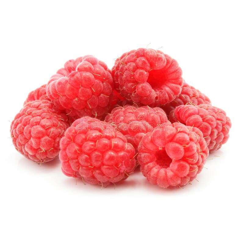 Red Raspberry Fruits Isolated Stock Photo - Image of dessert, vitamins ...