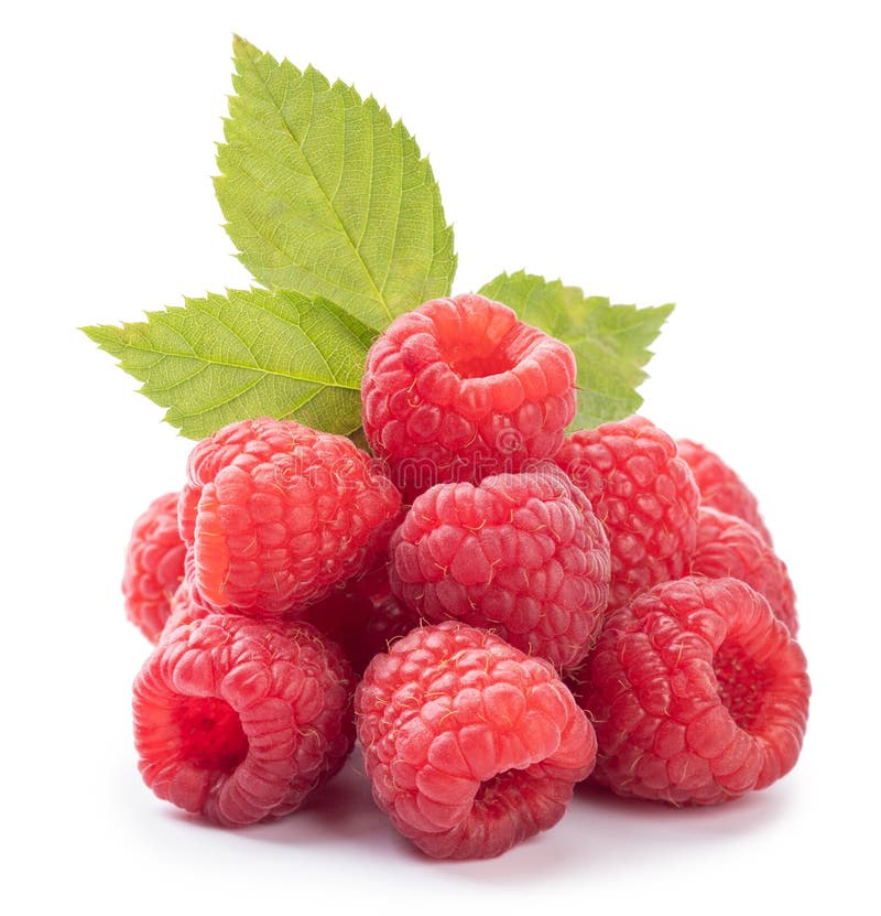 Red Raspberry with Green Leaf Leaves Isolated on White Stock Image ...