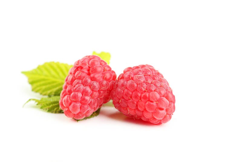 Red raspberry stock photo. Image of raspberry, detailed - 58149468