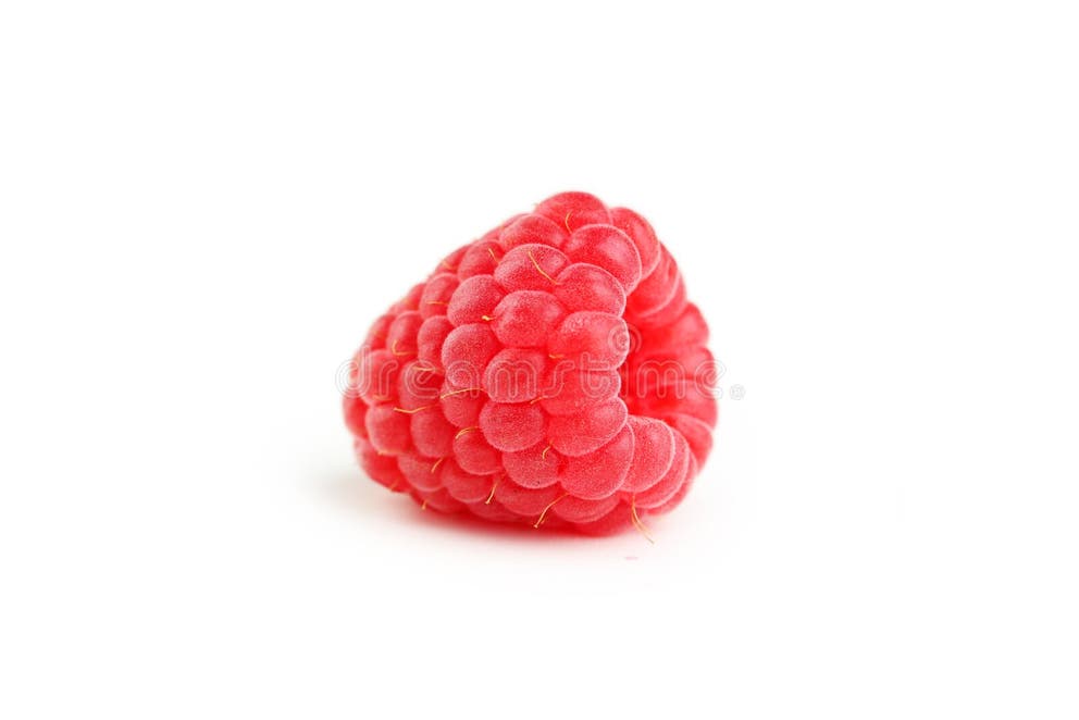 Red raspberry stock photo. Image of snack, berry, health - 70723436
