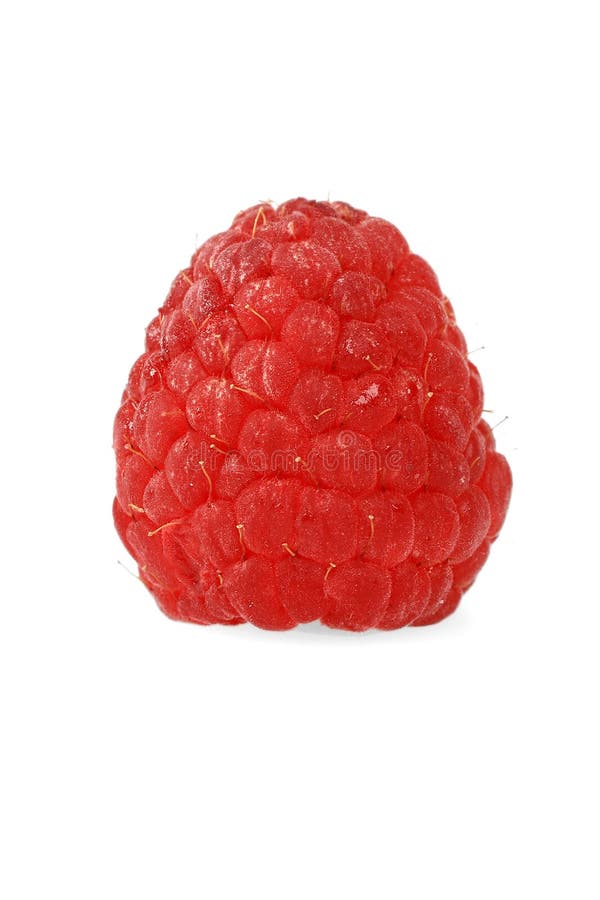 Red Raspberry Isolated on White Stock Image - Image of fruit, crop ...