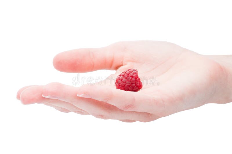 Red Raspberry Lying on Female Hand Stock Photo - Image of female, food ...