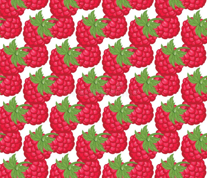 Red Raspberry pattern stock vector. Illustration of background - 71096901