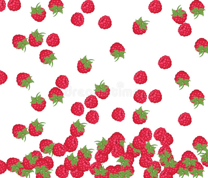Red Raspberry pattern stock vector. Illustration of banner - 71097195