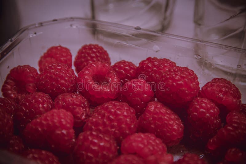 Red Raspberry in Plastic Box Stock Image - Image of health, life: 122235769