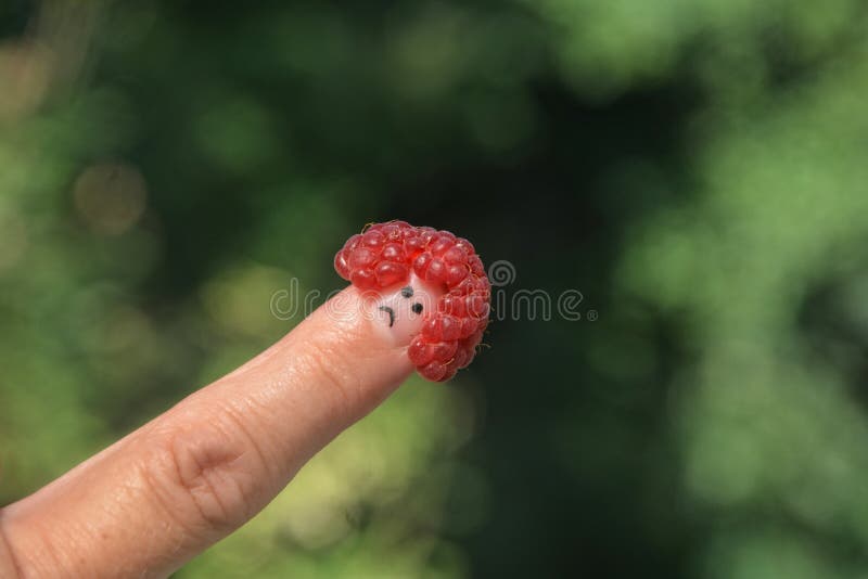 Red Raspberry Thumb Sad Face Stock Photos - Free & Royalty-Free Stock ...