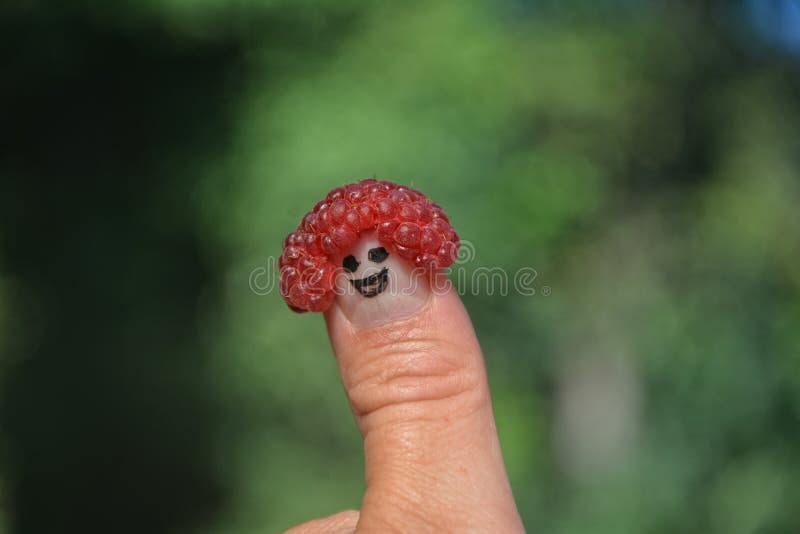 Red Raspberry on the Thumb with a Smiling Face Stock Image - Image of ...