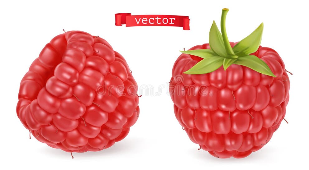 Raspberry Icon Stock Illustrations – 18,743 Raspberry Icon Stock ...