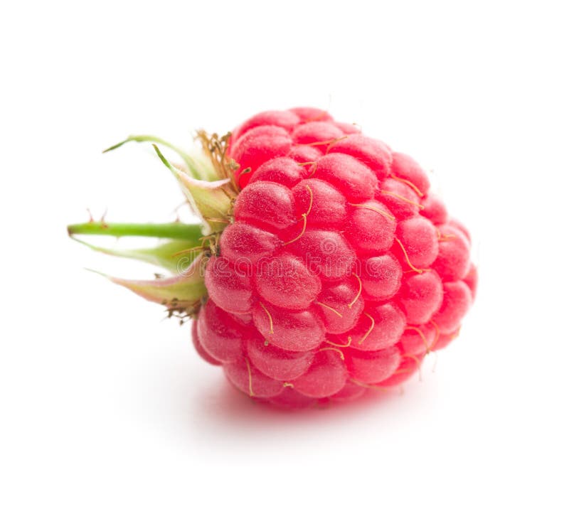Raspberry stock photo. Image of healthy, eating, close - 6403034
