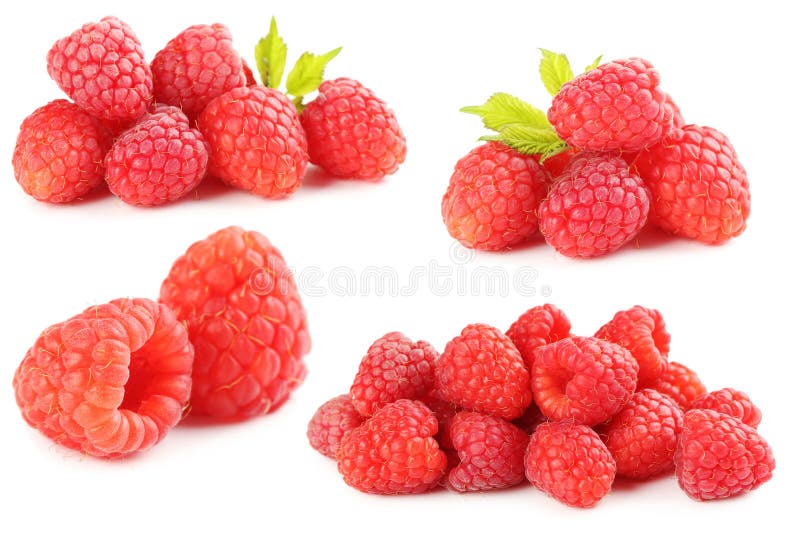Collection of Raspberry Isolated on White Background Stock Photo ...