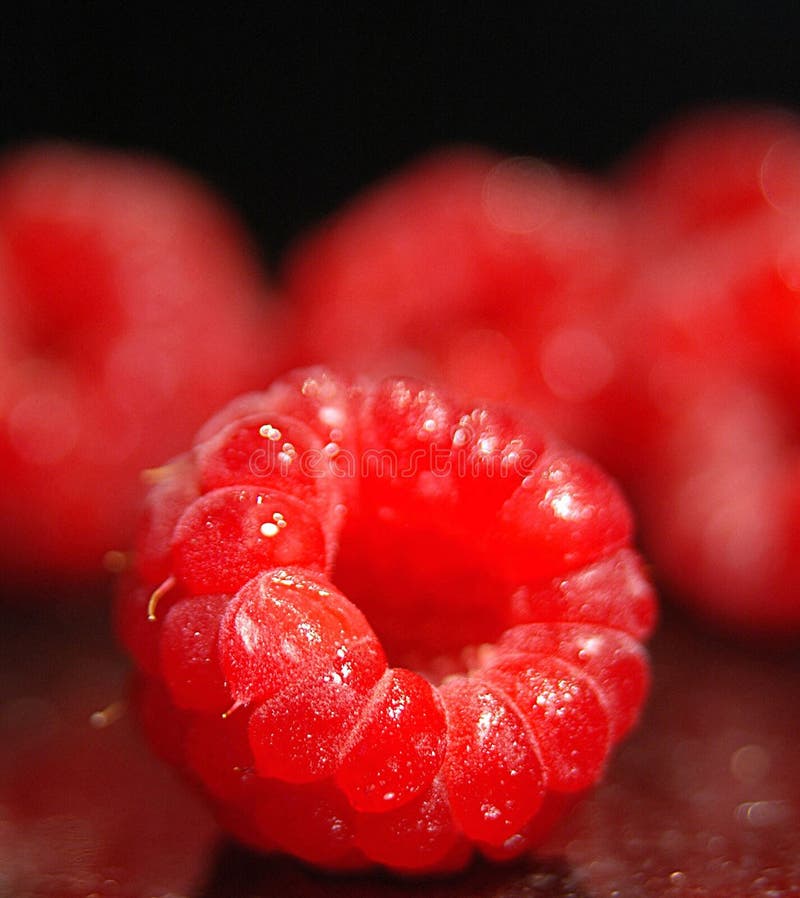 Red Raspeberries stock image. Image of fruit, juicy, natural - 12350713