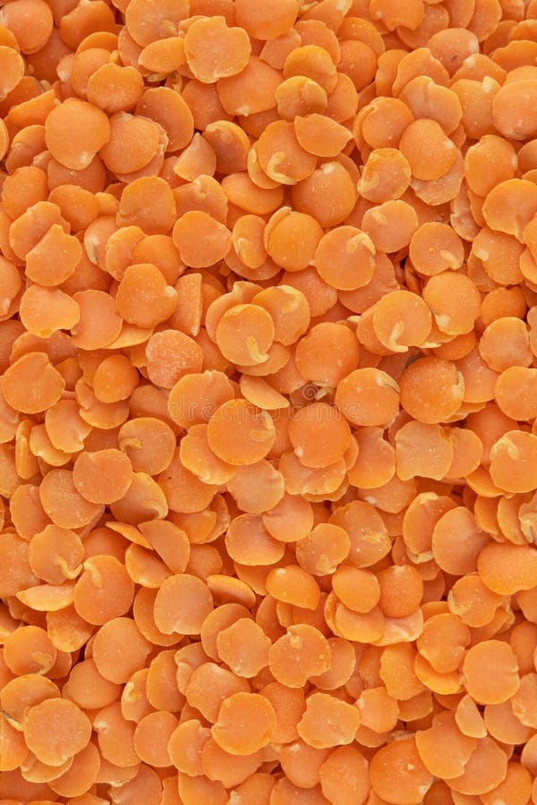 Red Raw Lentils in the Whole Frame. Vegetable Protein. Vertical Photo ...