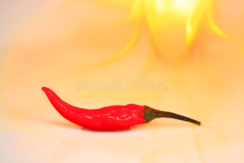 493 Red Rawit Stock Photos - Free & Royalty-Free Stock Photos from ...