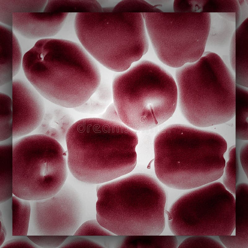 Red X-ray Apples Abstract Background Stock Illustration - Illustration ...