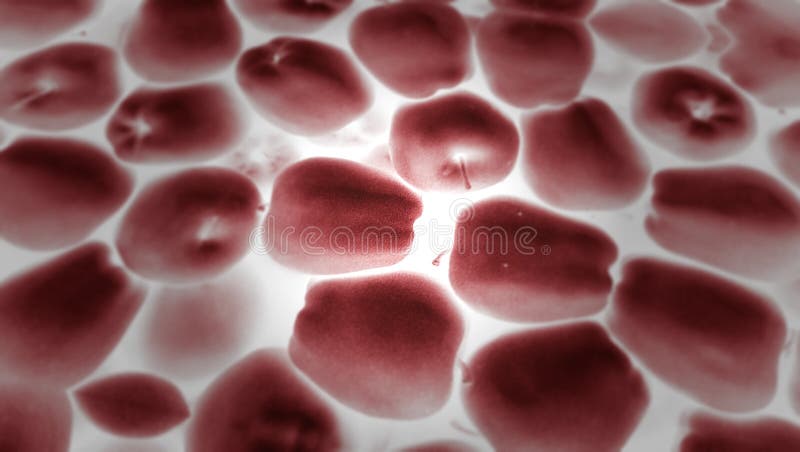 Red X-ray Apples Abstract Background Stock Illustration - Illustration ...