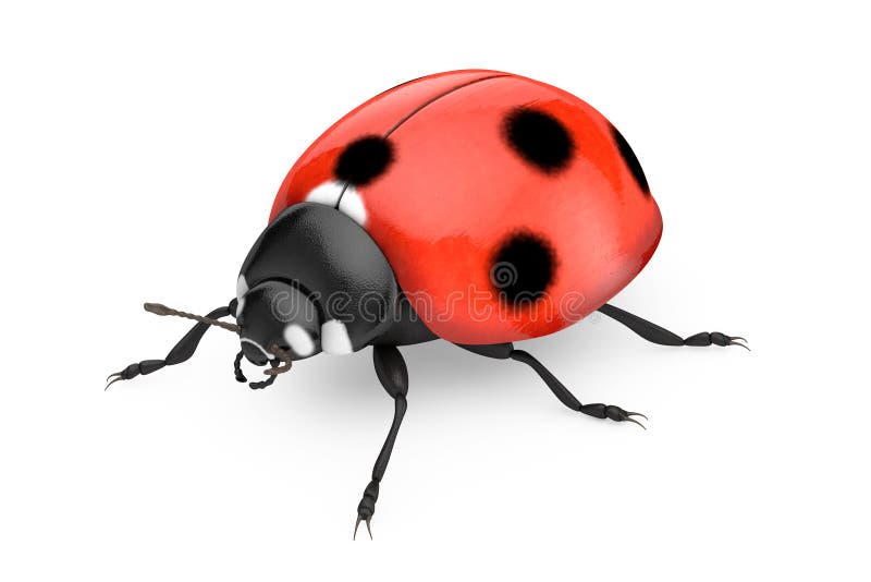 Red Realistic Beautiful Ladybird. 3d Rendering Stock Illustration ...