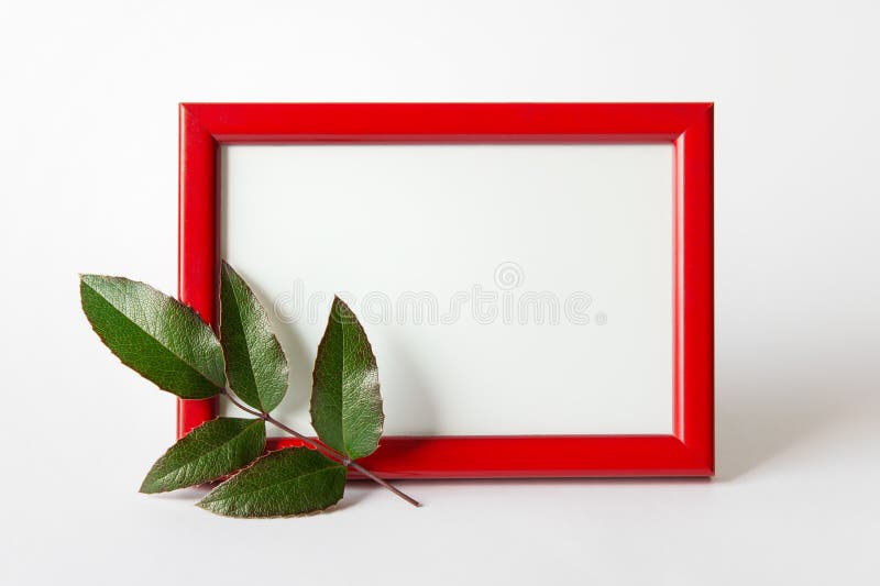 Red Rectangle Frame with a Branch on White Backgound Stock Image ...