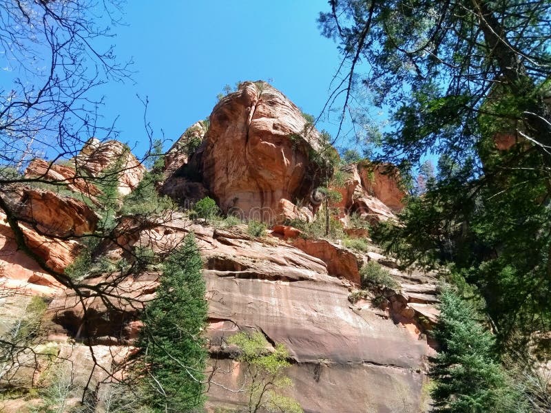 Red red cliff face stock image. Image of forest, face - 163392985