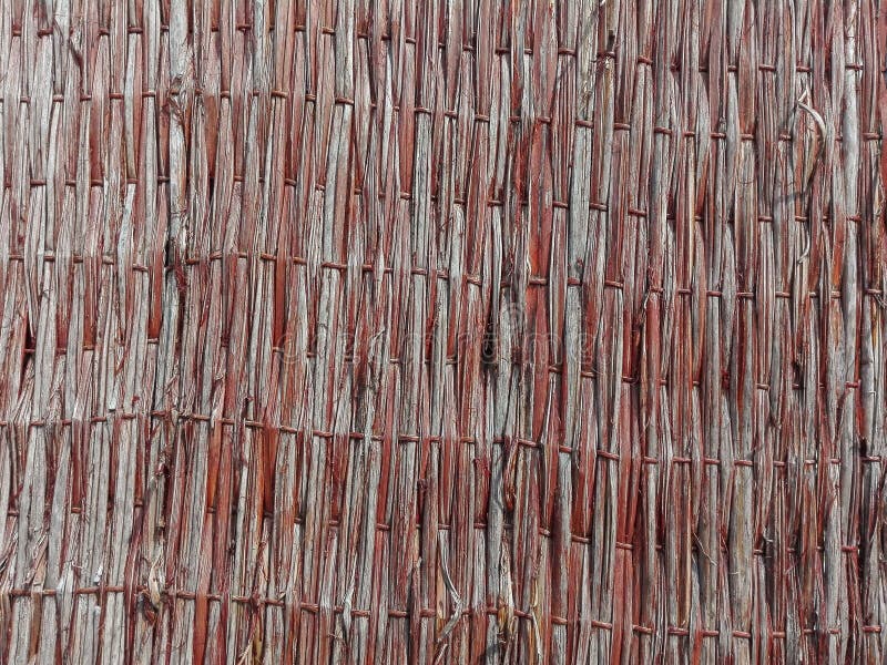 Red Reed Texture. Reed Mat Texture. Wall of the Red Reed Stalks. Stock ...