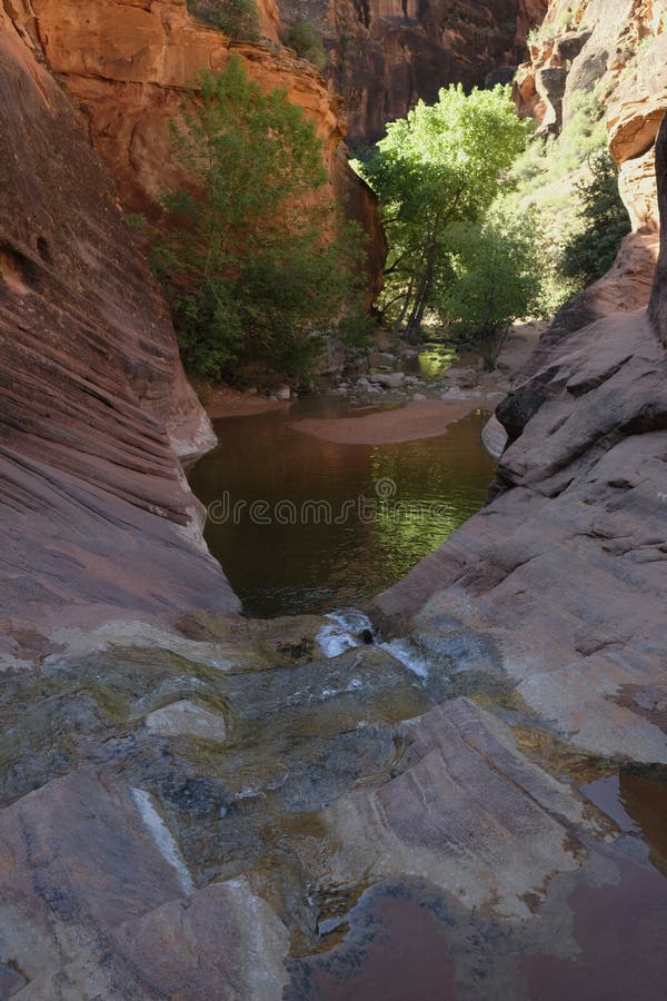 Red Reef Pools in Utah stock image. Image of nature - 146112737
