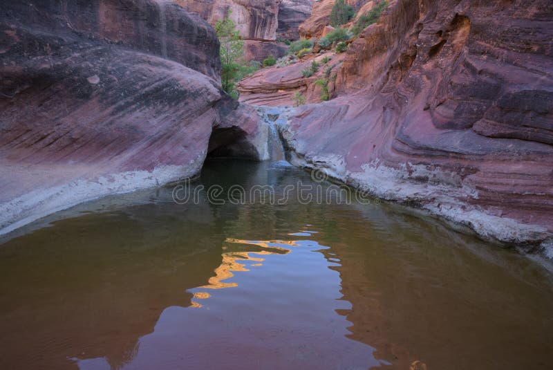 Red Reef Pools in Utah stock image. Image of spring - 146740337