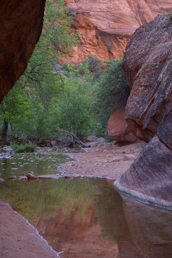 Red Reef Trail in Utah stock photo. Image of desert - 146740346