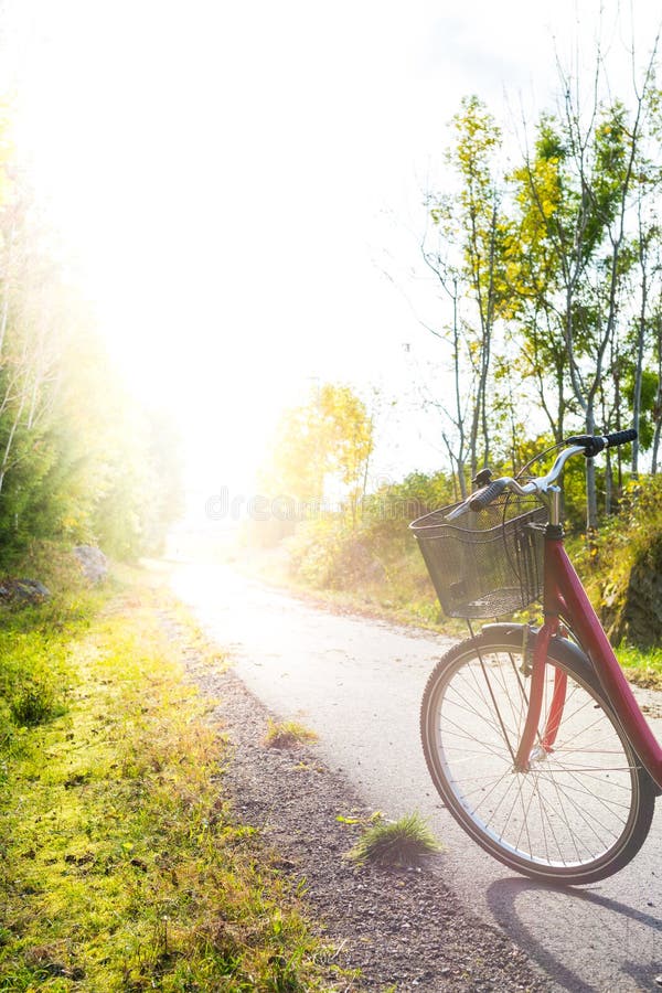 Red Retro Bike on a Cycle Path with Sunlight Stock Image - Image of ...