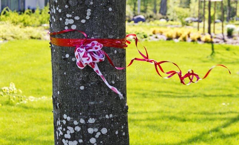 10,241 Bole Tree Photos - Free & Royalty-Free Stock Photos from Dreamstime