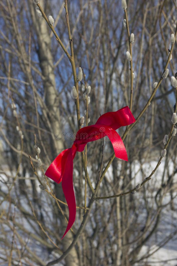 Red ribbon on a branch stock image. Image of horizontal - 38903149