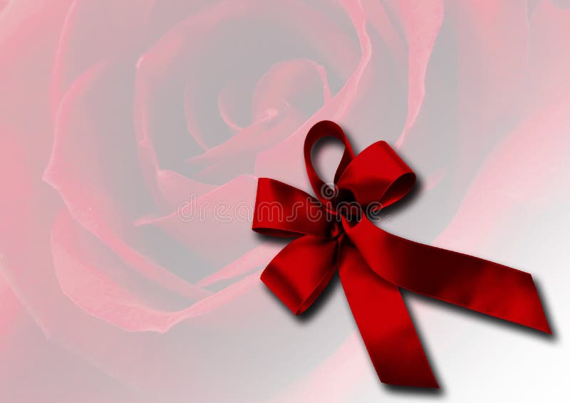 Red Ribbon On Rose Flower Background Stock Photo - Image of valentines ...