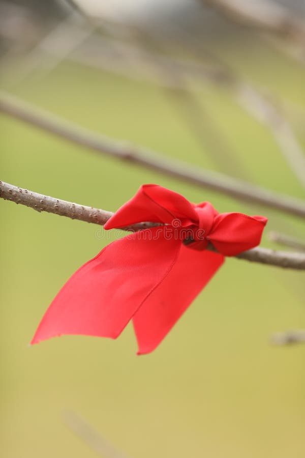 A Red Ribbon is Tied To a Tree Branch Stock Photo - Image of texture ...