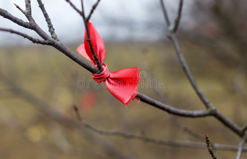 A Red Ribbon Tied To a Tree Branch Stock Photo - Image of leaves ...