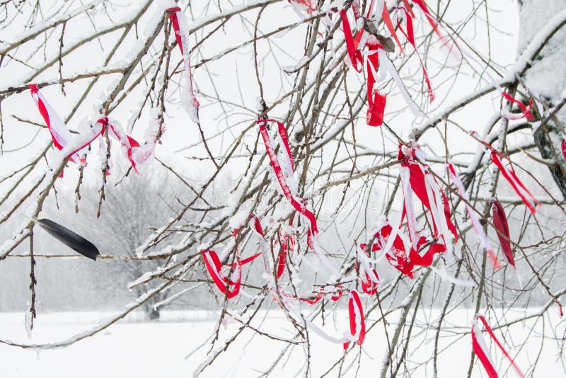 Red Ribbon Tied on a Tree in Winter Stock Image - Image of thaw, tree ...